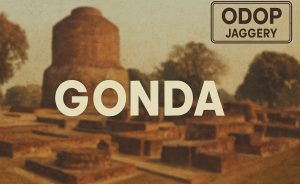 Gonda: Uttar Pradesh’s Hidden Gem?
