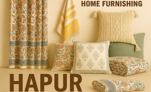 Hapur Unveiled: History, Culture, and Economy